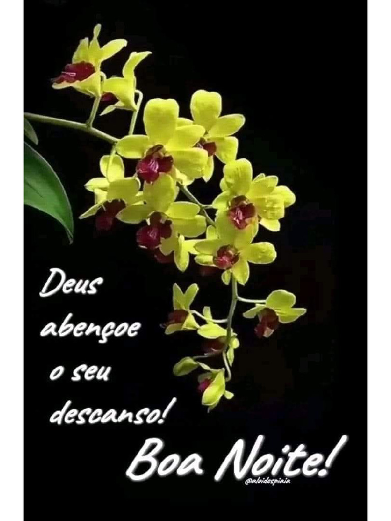 PDFReader 20241209 2158 | PDF