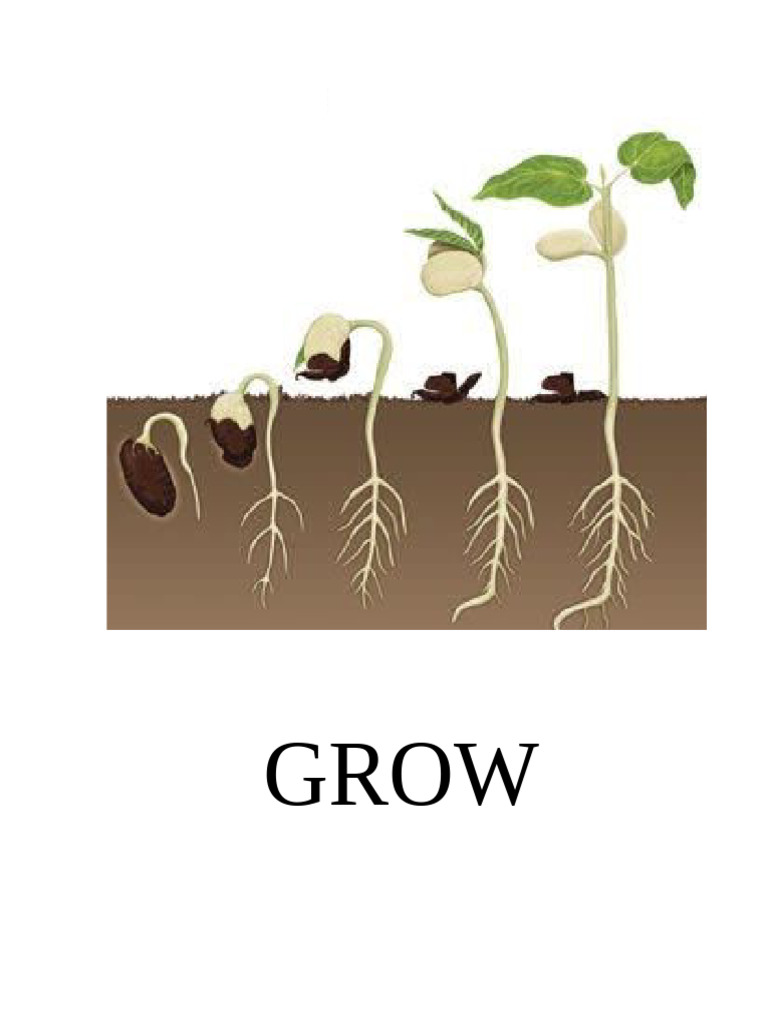 GROW | PDF