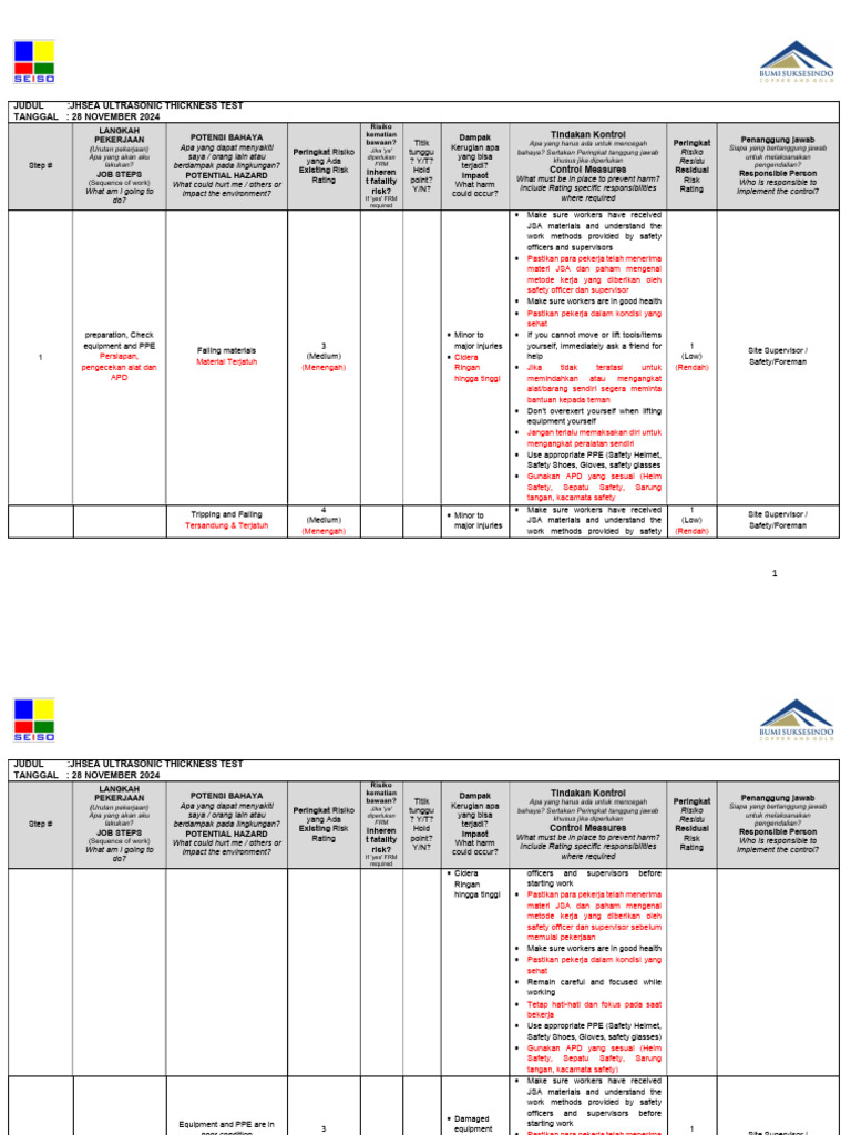 JHSEA UT Test - Tank Inspection PT. Bumi Suksesindo BWI Rev.00 | PDF