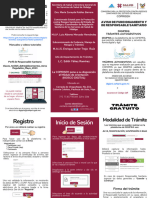 Registro en DIGIPRiS: Guía Paso a Paso | PDF | Informática