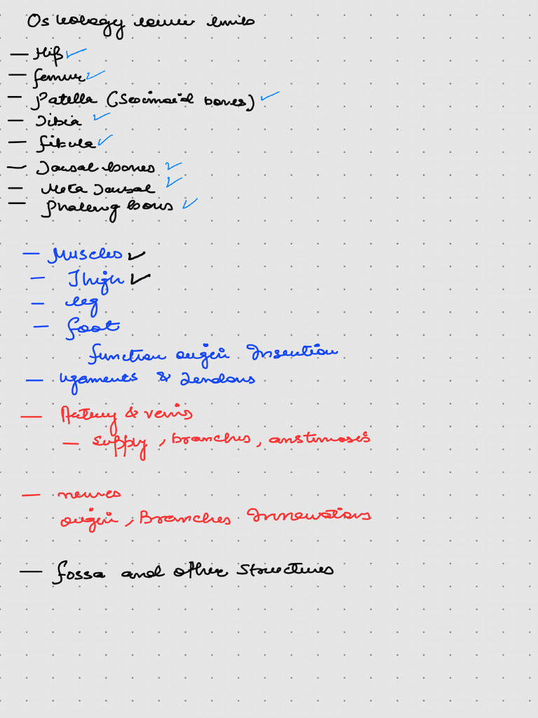 Lower Limb - 240707 - 053726 | PDF