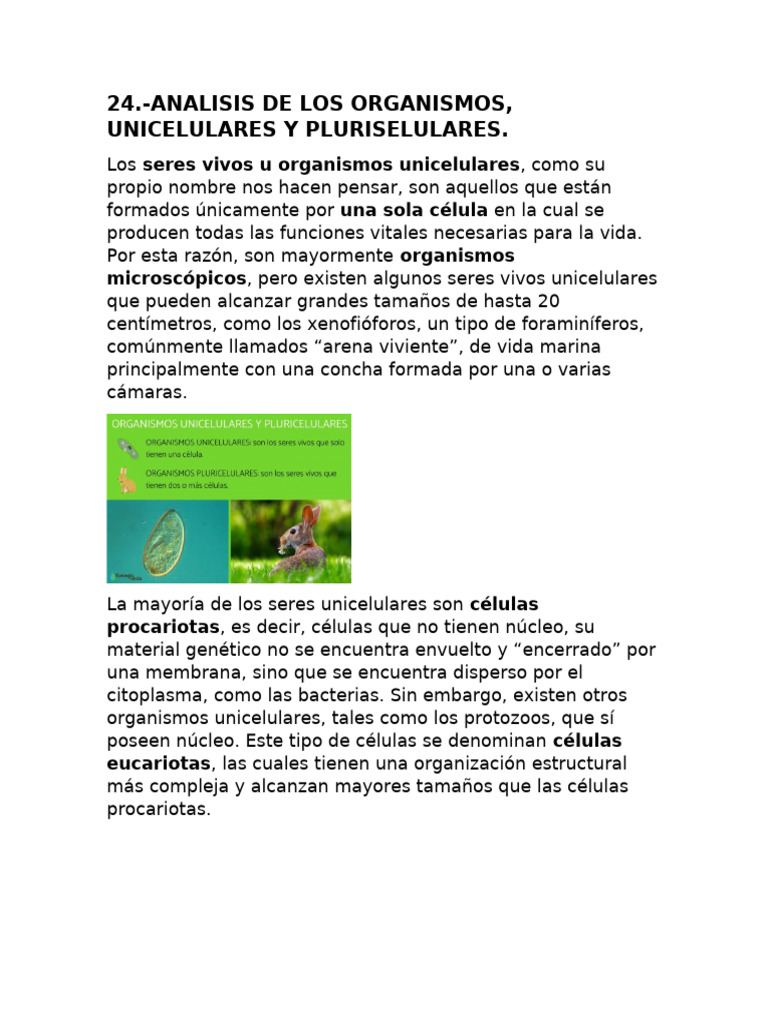 Análisis de Organismos Pluricelulares | PDF | Biología Celular ...