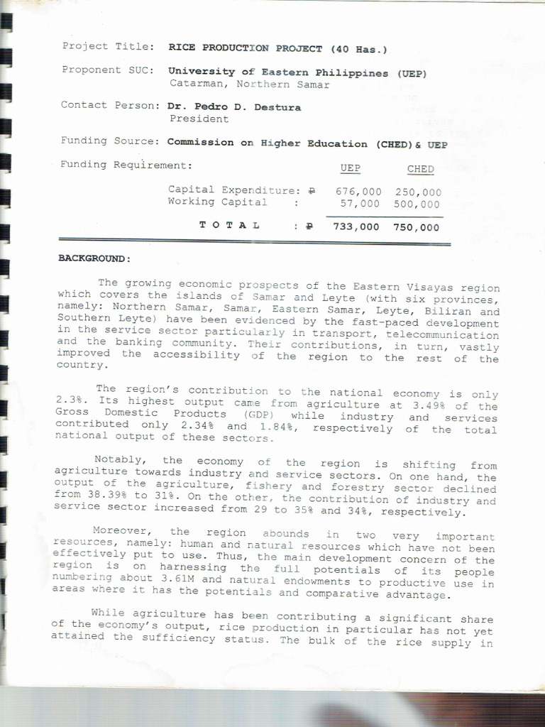 Rice Production Project(FS) | PDF