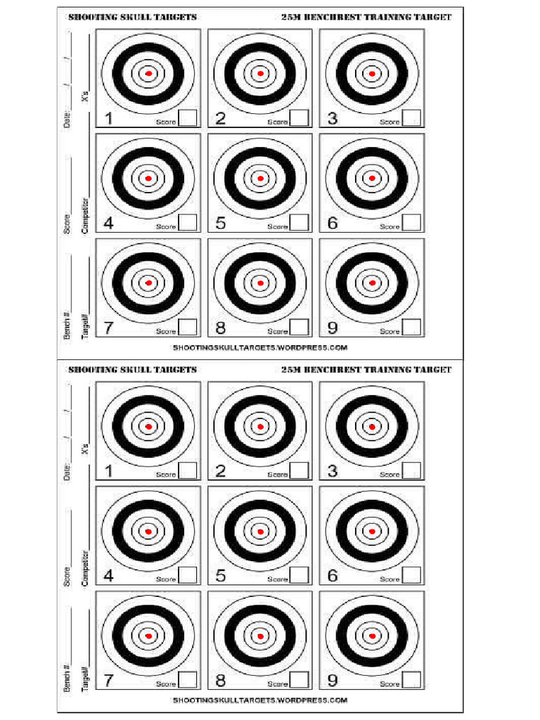 Shooting Target | PDF