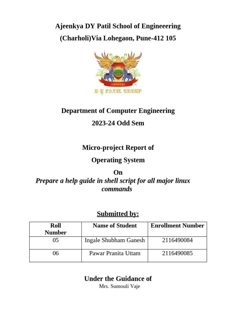 Report___SHGI__OSY (1) | PDF | Shell (Computing) | Command Line Interface