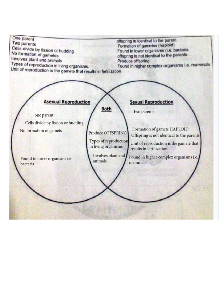 Reproduction.types | PDF