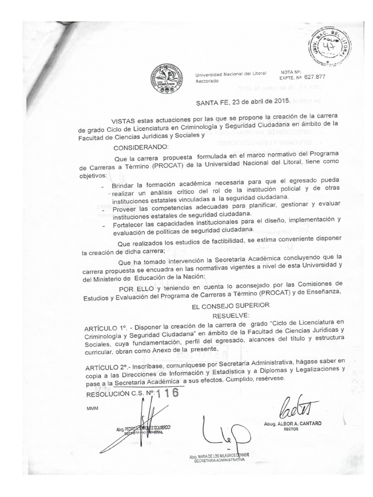 Resolucion C.S. #116 Anexo | PDF