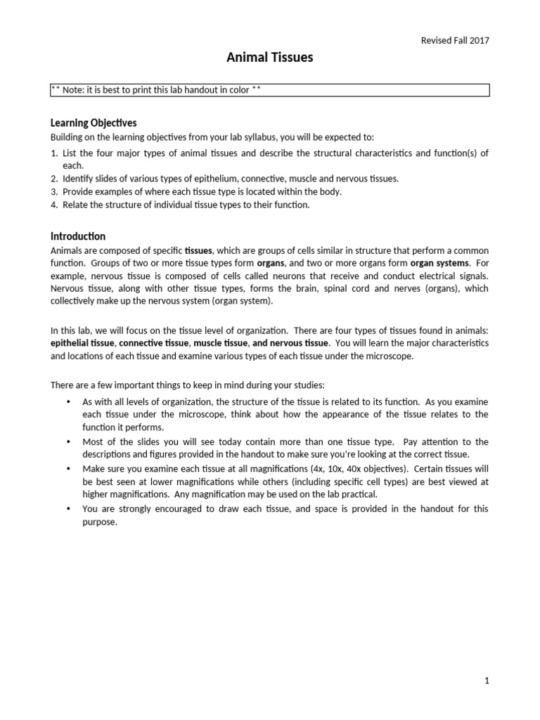 Epithelial Tissue Worksheet | PDF | Epithelium | Tissue (Biology)