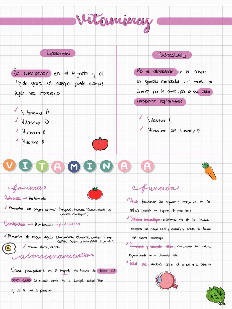 Vitaminas 240901 150927 | PDF