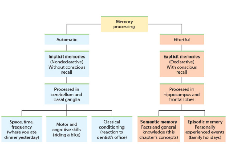 Memory Processing Model | PDF