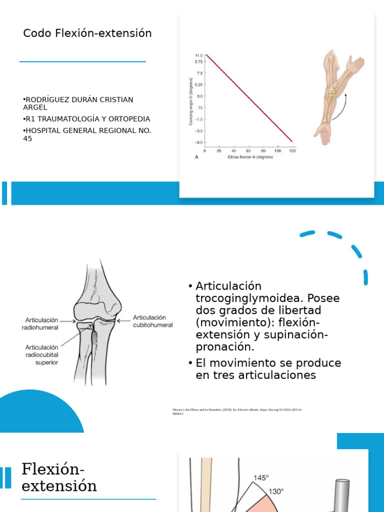 Anatomía Funcional del Codo | PDF | Codo | Anatomía humana