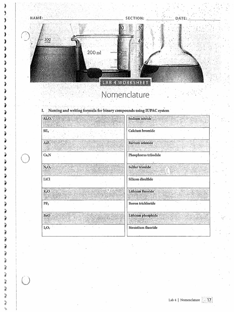 Nomenclature Lab | PDF