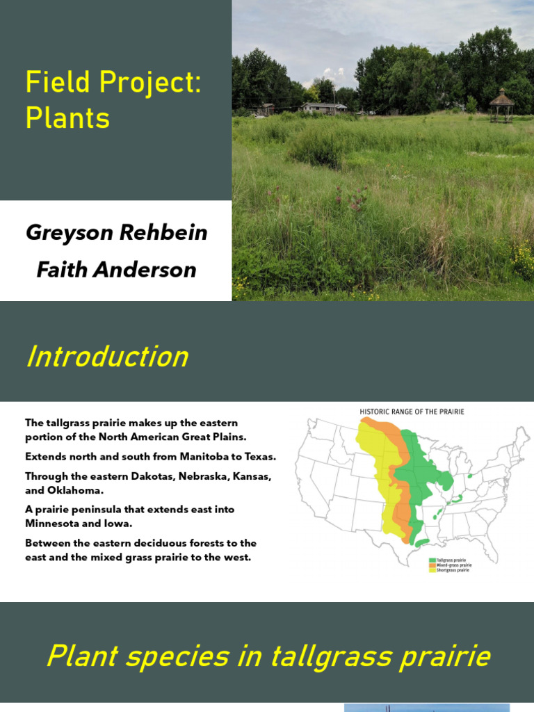 Field Project | PDF | Prairie | Ecological Resilience