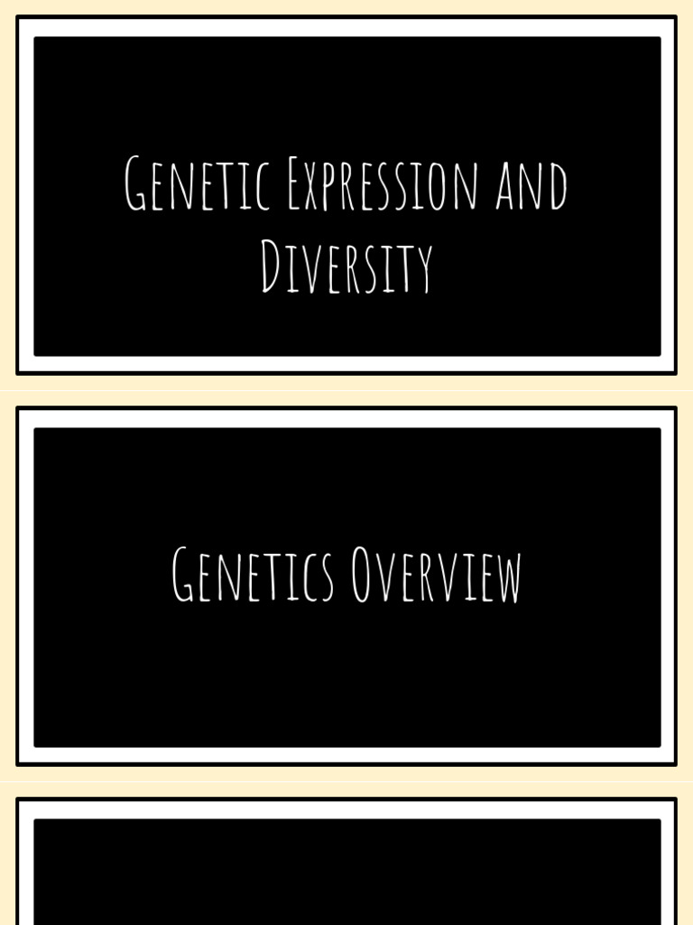 BIO Unit+7 Genetics F2024 AR FDHS | PDF | Dominance (Genetics) | Zygosity