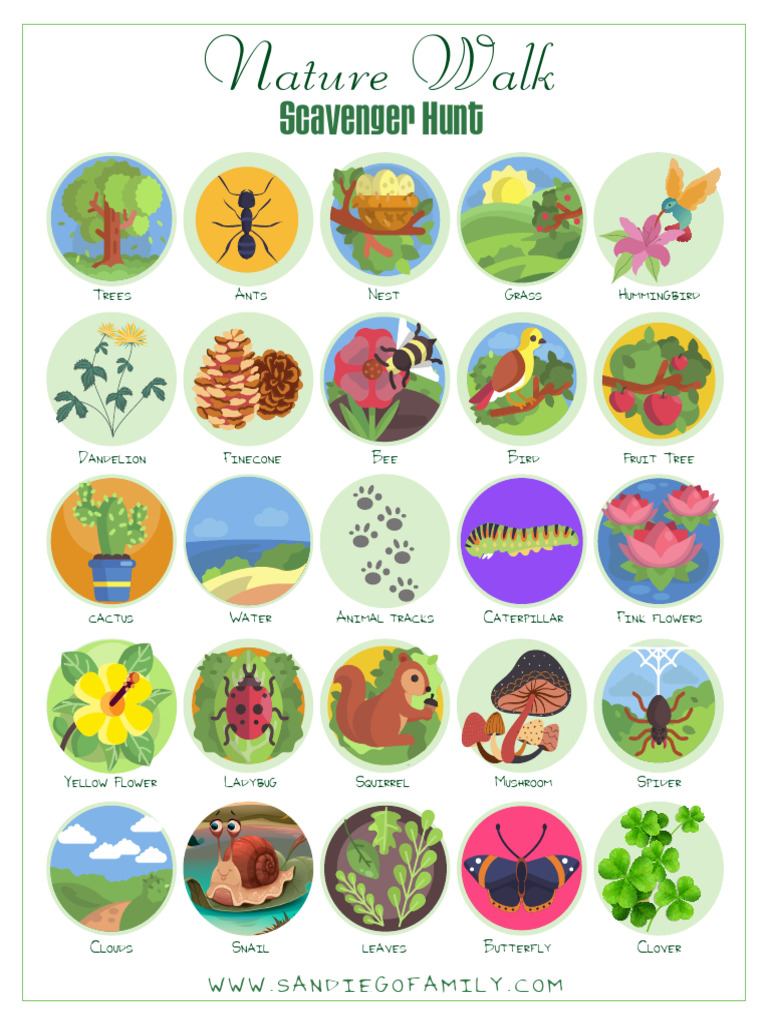 Nature Walk Scavenger Hunt List | PDF