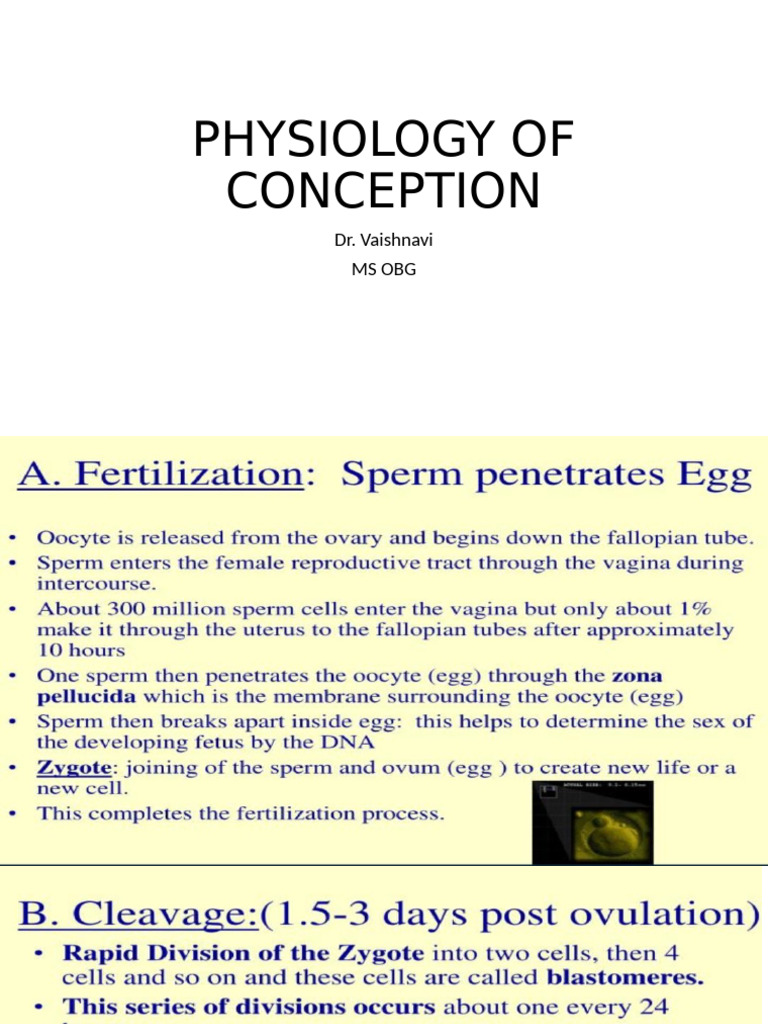 Physiology of Conception | PDF