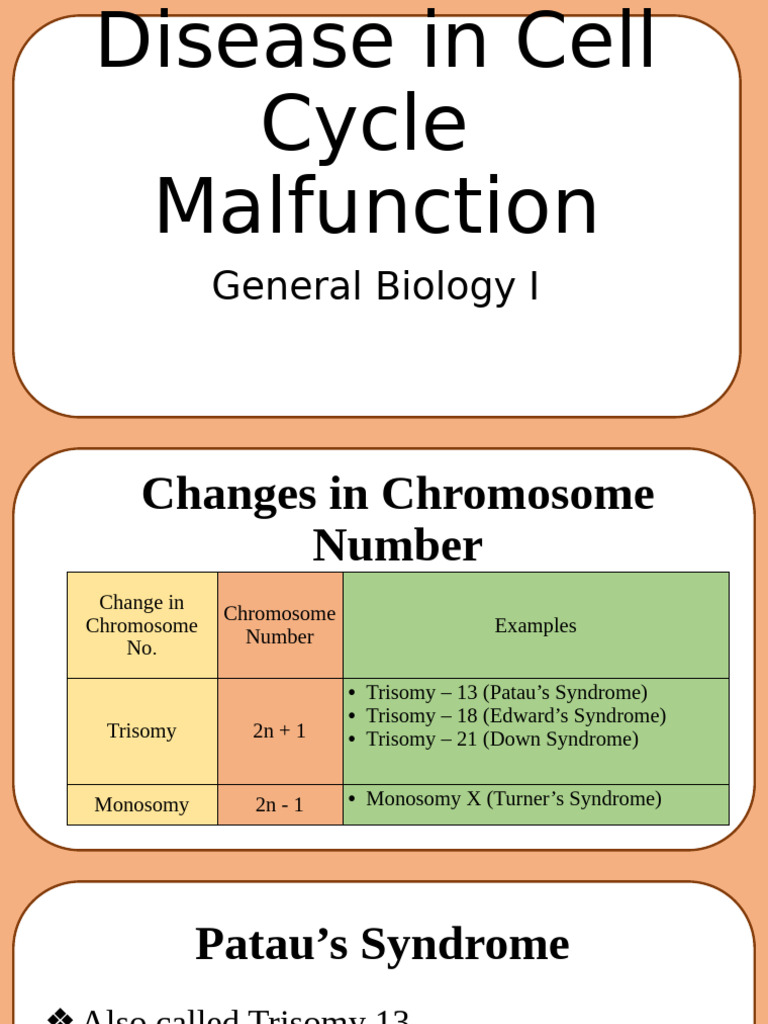 Lesson 6 Diseases in Malfunction of Cell Cycle | PDF