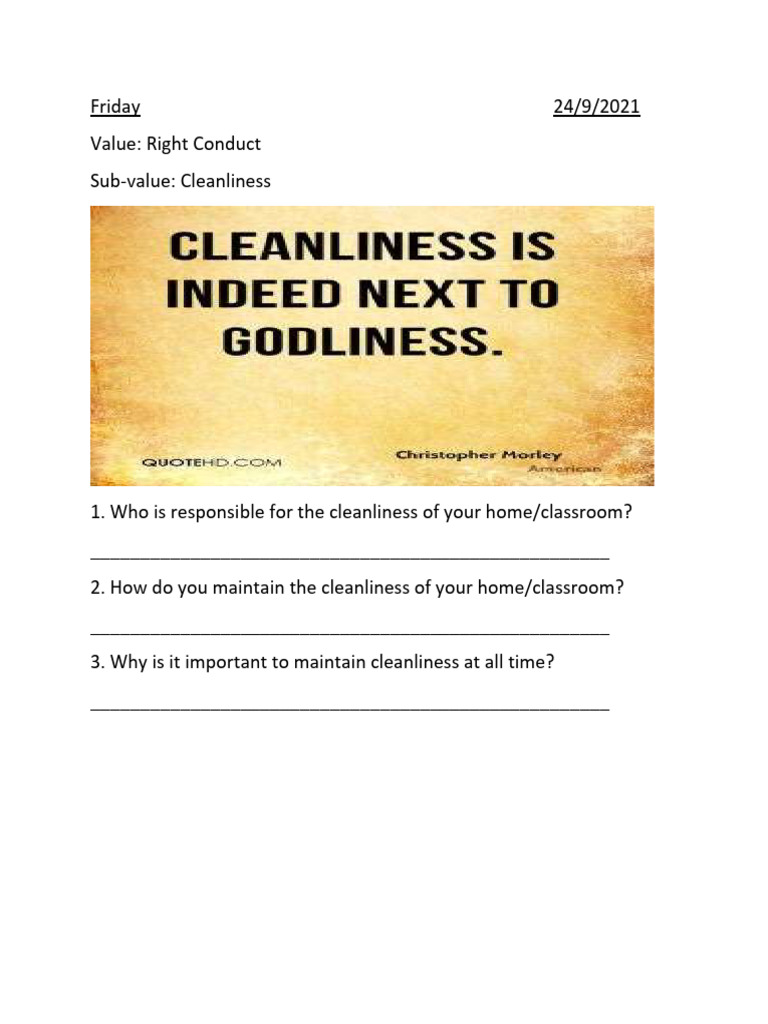 Cleanliness Responsibility Guide | PDF