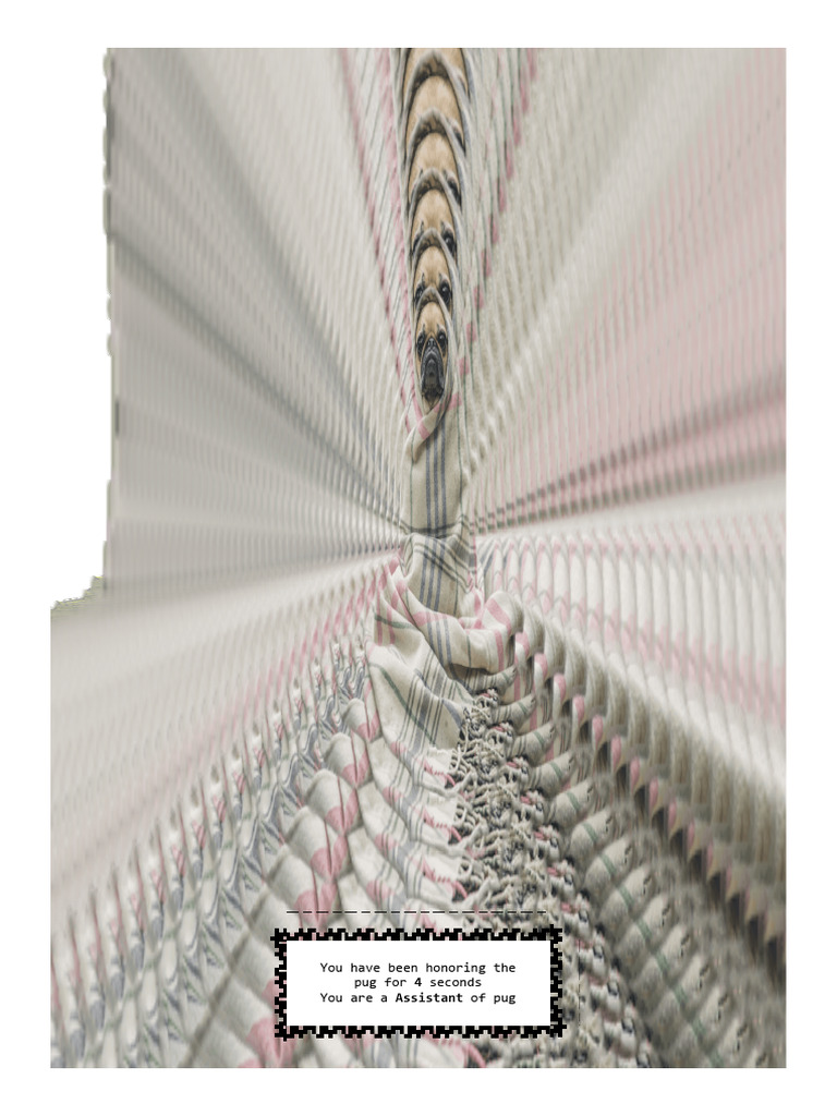 The Pug In A Rug | PDF