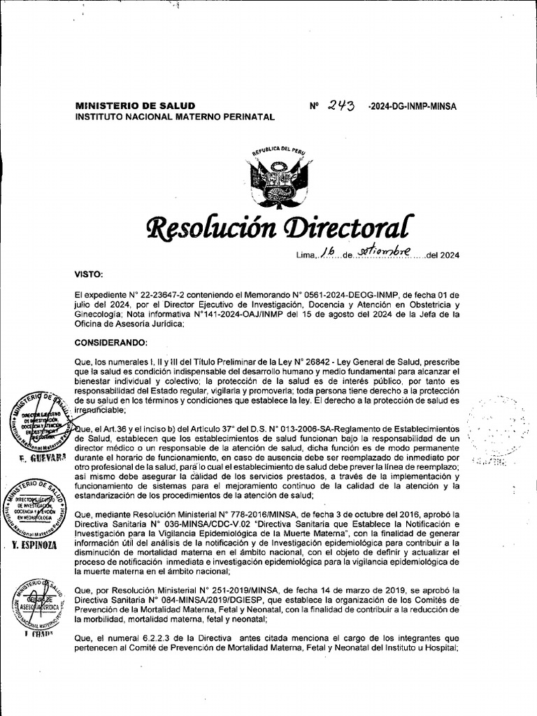 6024837-rd-n-243-2024-dg-inmp-minsa | PDF | Justicia | Crimen y violencia