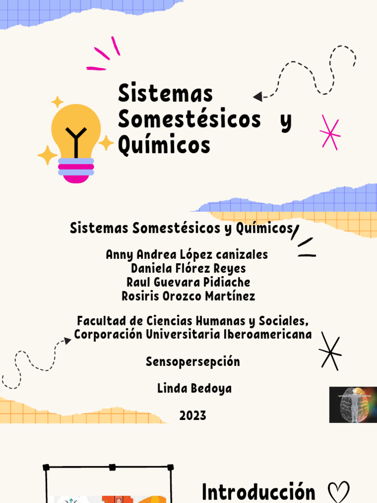 Sistemas Somestésicos y Químicos | PDF | Gusto | Sentidos