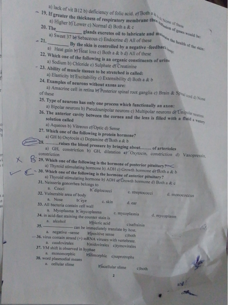 Scanned 20241210 072149 | PDF