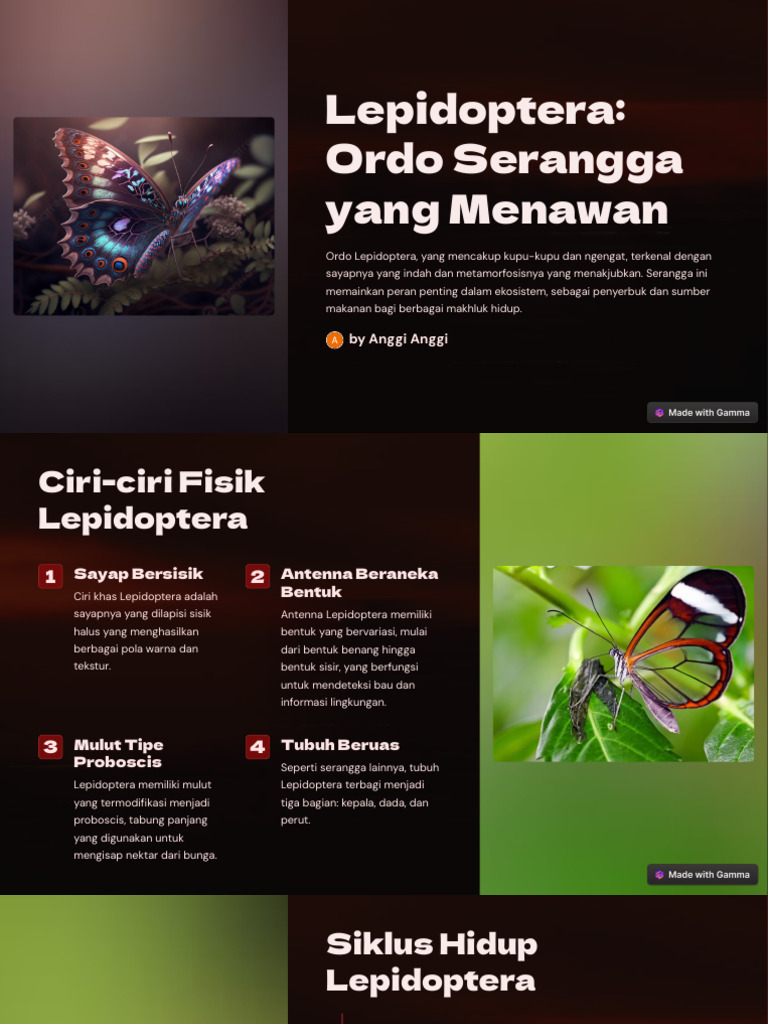 Lepidoptera-Ordo-Serangga-yang-Menawan | PDF