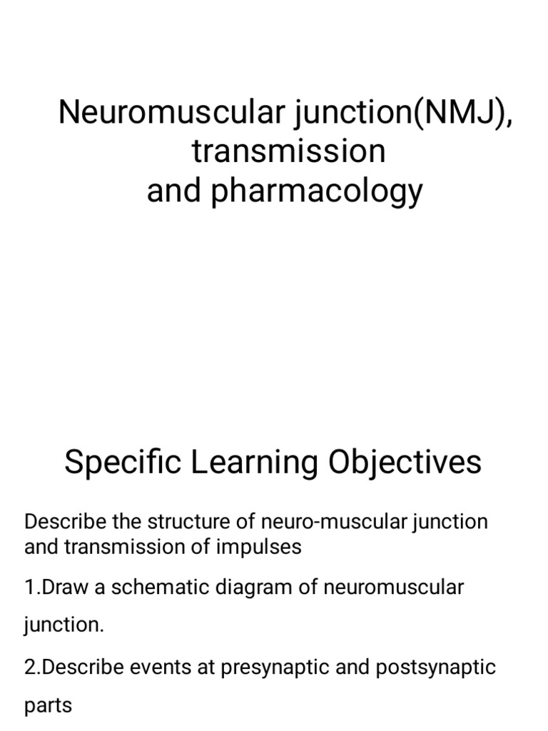Neuromuscular Junction | PDF | Neuromuscular Junction | Acetylcholine