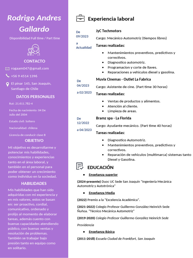 CV Rodrigo Gallardo | PDF