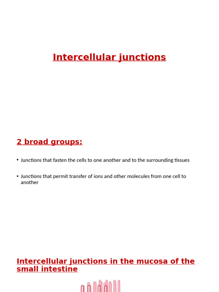 Intercellular Junctions | PDF | Cell Adhesion | Microtubule