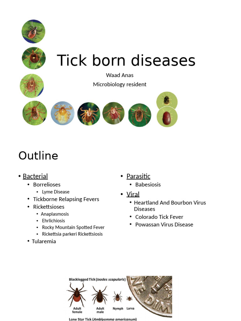 Tick born diseases | PDF | Lyme Disease | Diseases And Disorders