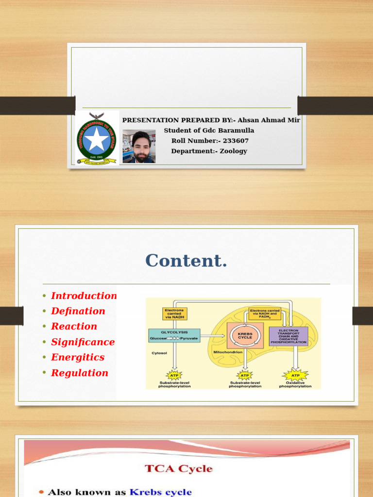 PPT Zoology 3rd Sem Krebs Cycle | PDF