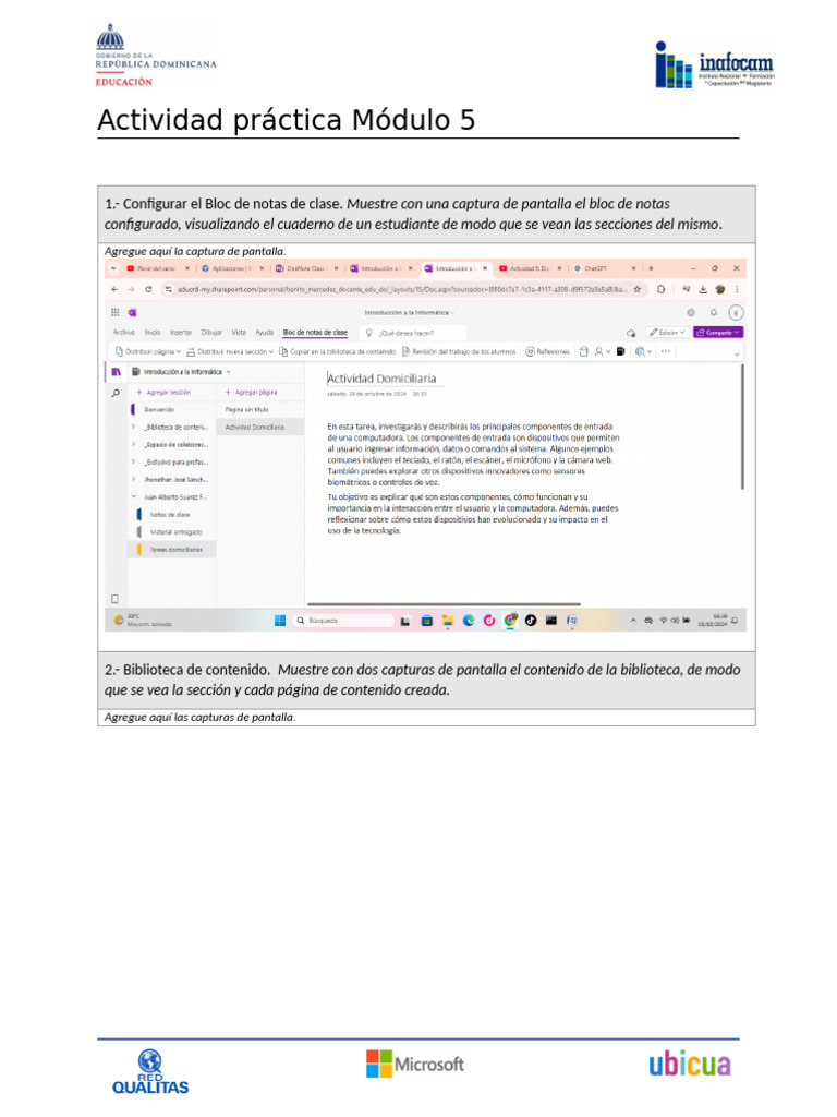 Plantilla Actividad Practica Modulo 5 | PDF