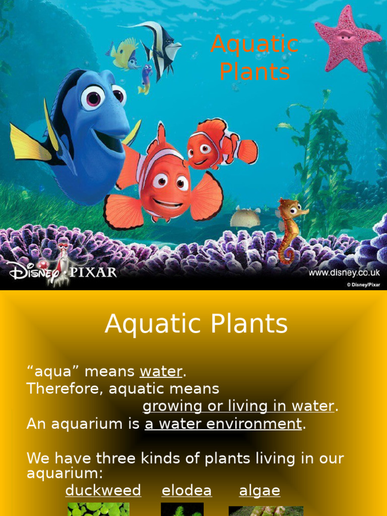 aquatic plants | PDF | Photosynthesis | Plants