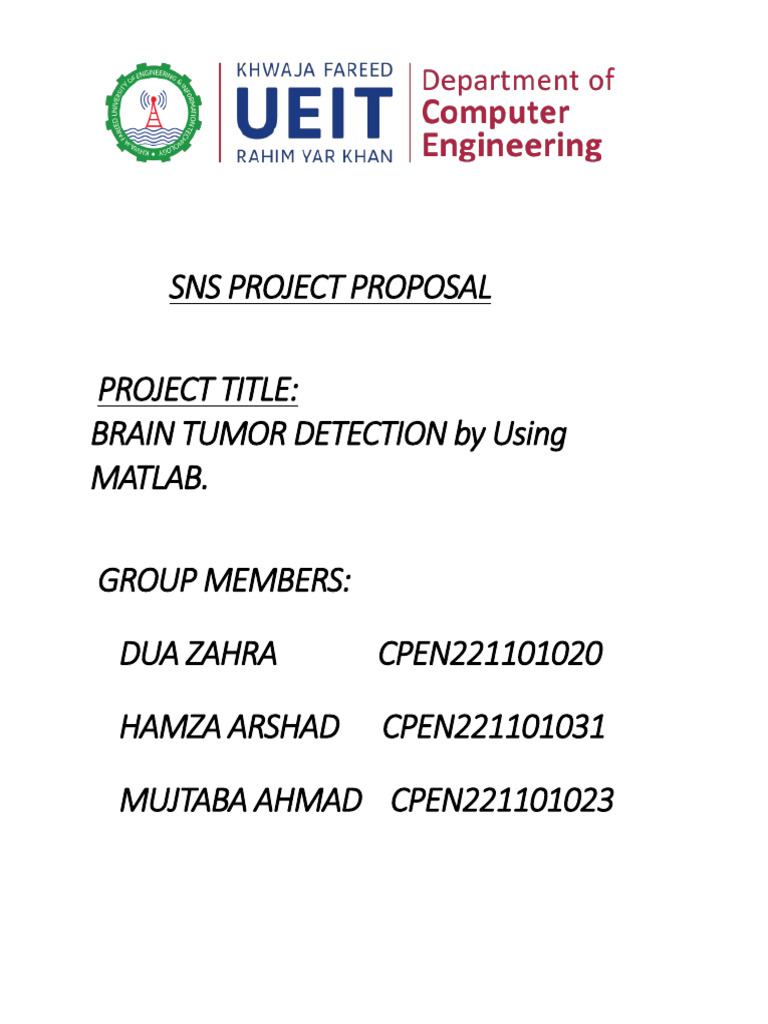SNS PROJECT PROPOSAL | PDF | Image Segmentation | Magnetic Resonance Imaging