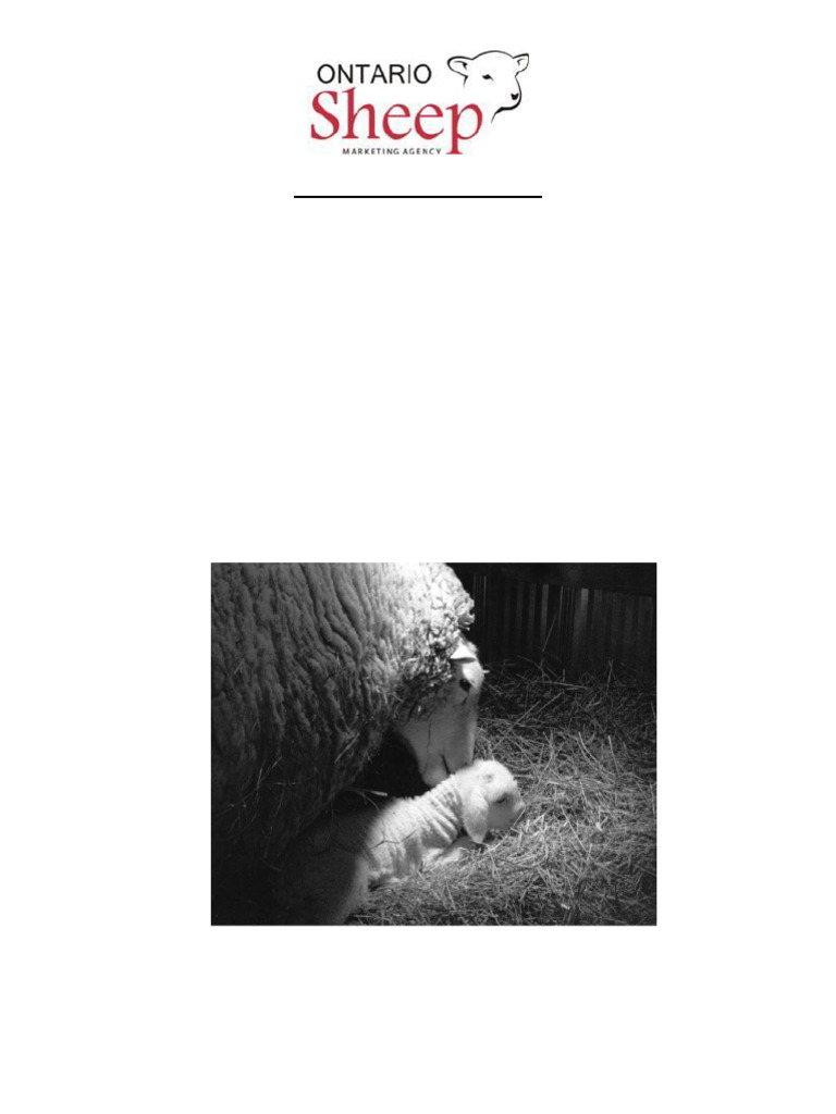 f6 Reproduction and Lambing 2014 | PDF | Sheep | Testicle