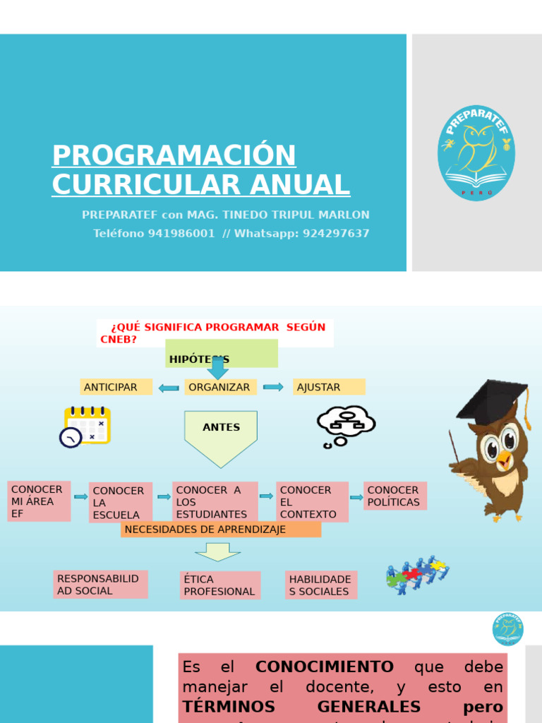 Programación Curricular para Docentes | PDF | Bailes | Aprendizaje