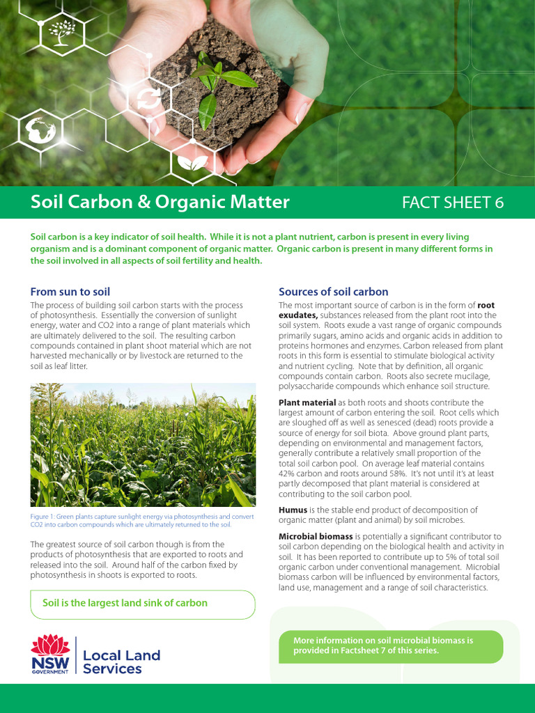 6 Soil Carbon and Organic Matter FINAL | PDF | Soil | Organic Matter