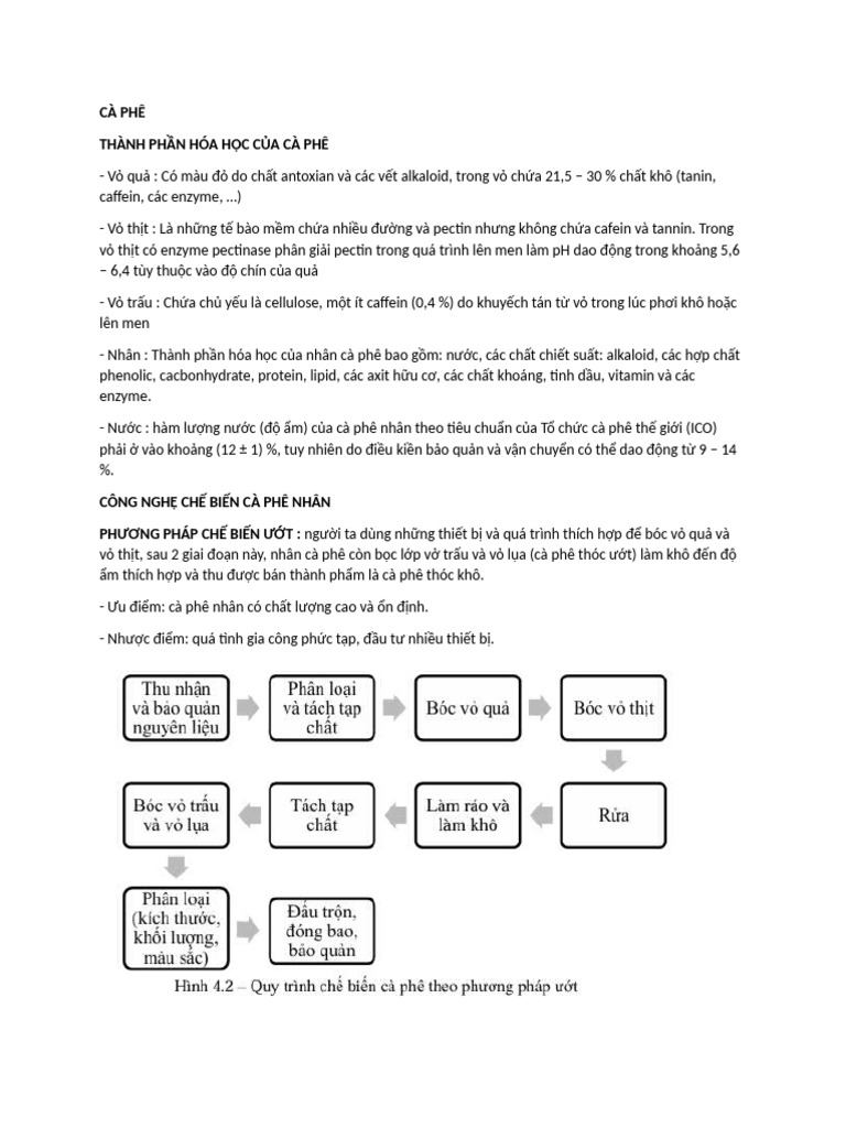 Cà Phê | PDF