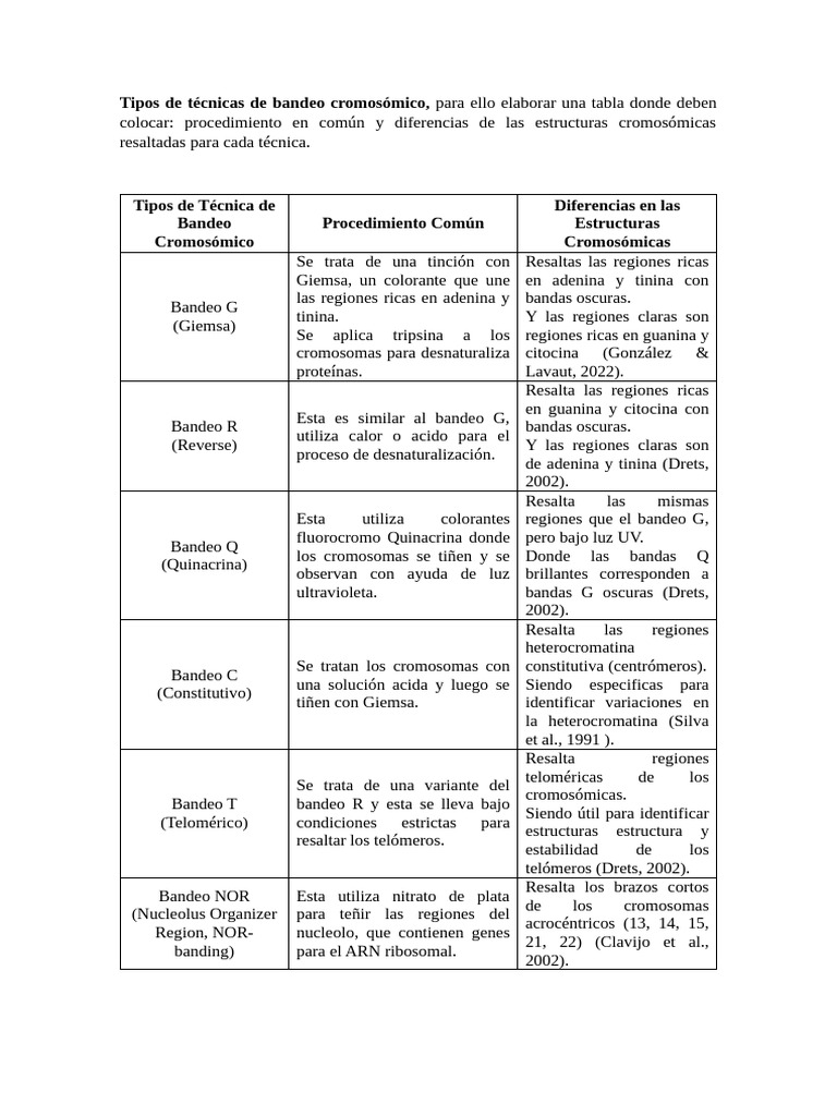 Técnicas de Bandeo Cromosómico | PDF | Cromosoma | Citogenética