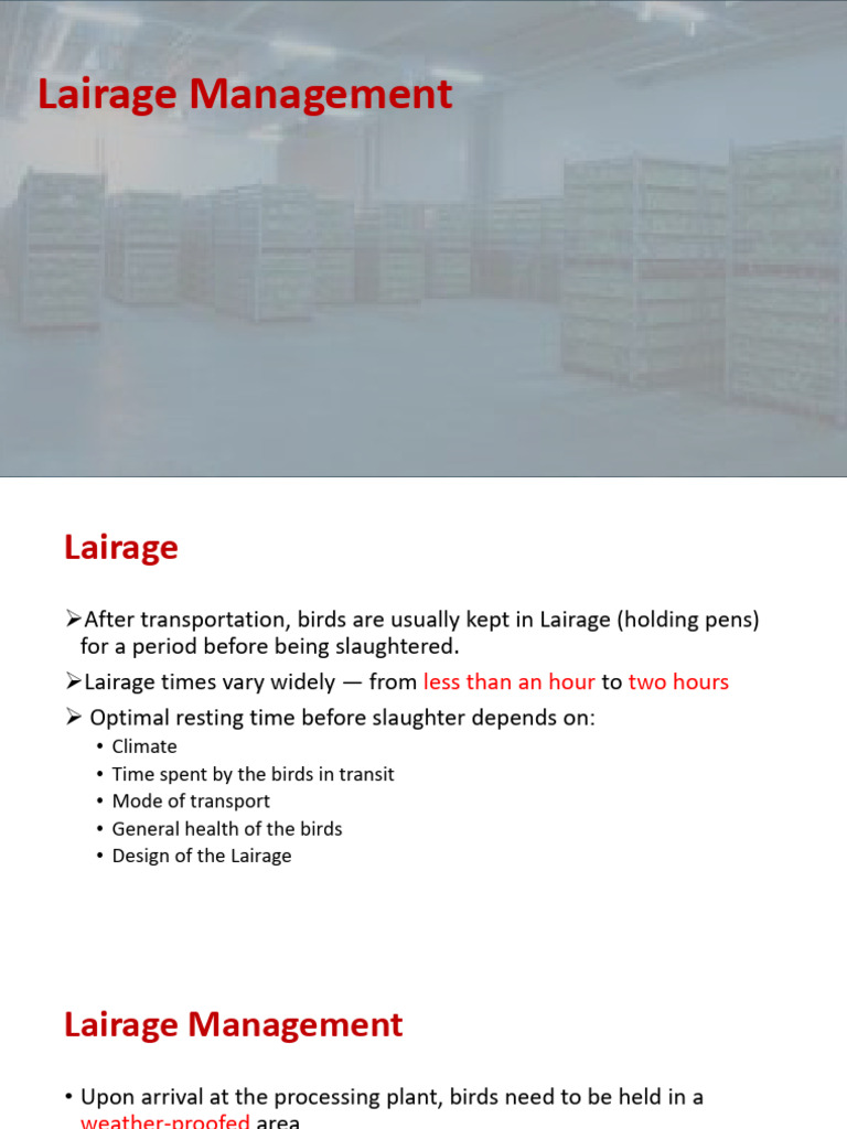 Lairage | PDF