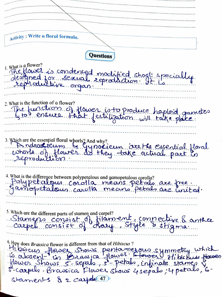 Practical-9 Dissection of Flowers | PDF | Flowers | Branches Of Botany