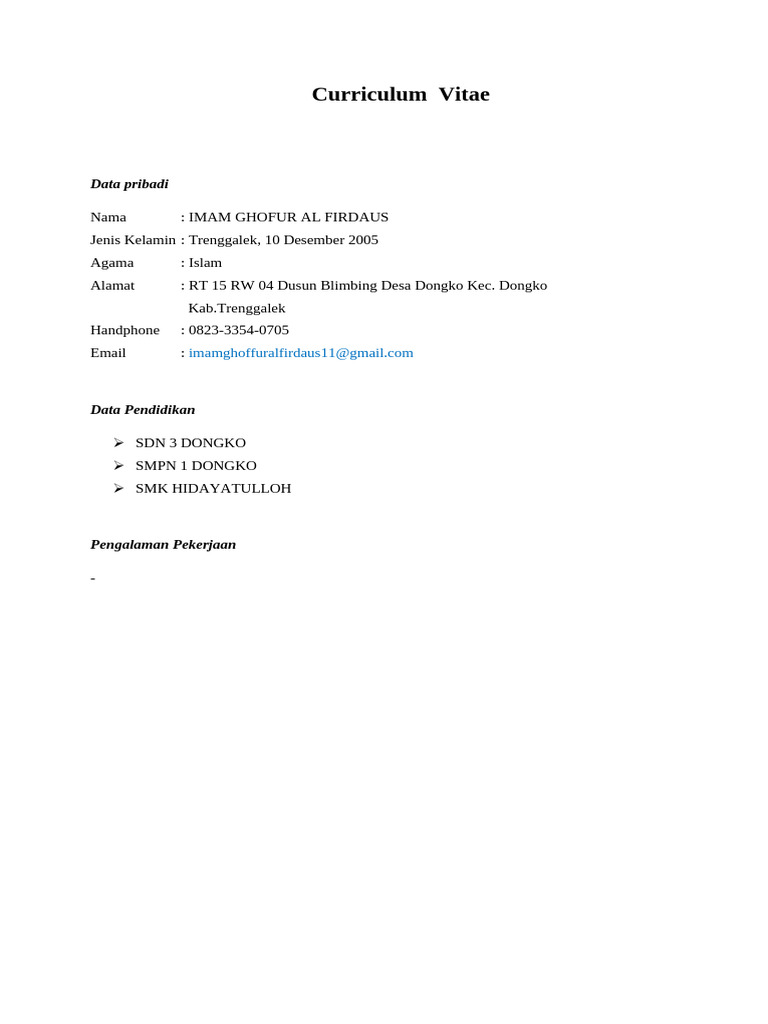 Curiculum Vitae IMAM | PDF