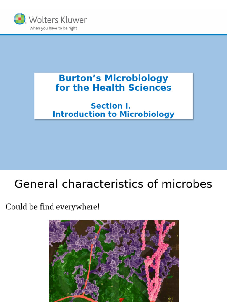Lecture 1 Pdf Microorganism Microbiology