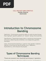 Year 7 Science | PDF | Cell (Biology) | Organisms
