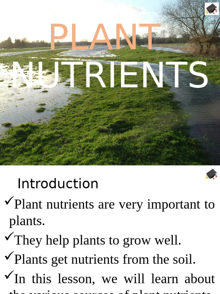 Plant Nutrients | PDF | Plant Nutrition | Nutrients