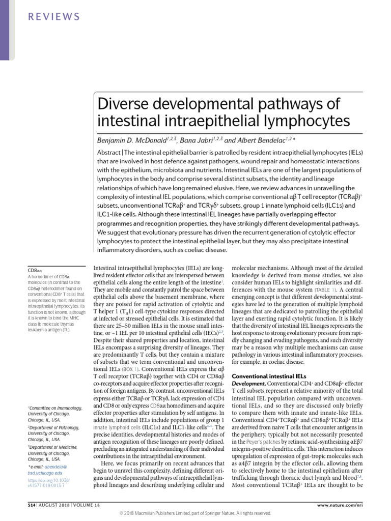Intestinal IELs: Diversity & Function | PDF | T Cell | T Helper Cell