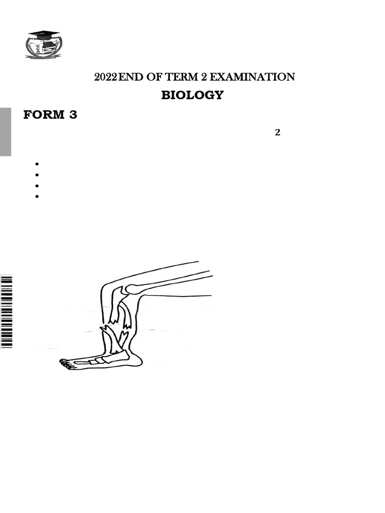 Great Grace Academy - Bio F3 | PDF | Leaf | Fish