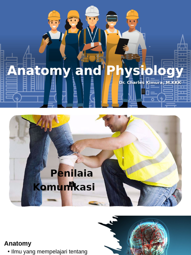 anatomi | PDF | Vertebral Column | Vein