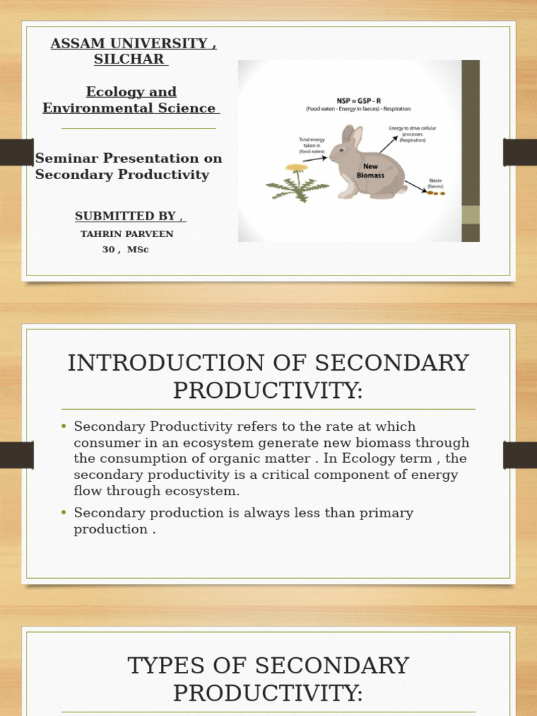 Understanding Secondary Productivity | PDF | Food Web | Primary Production